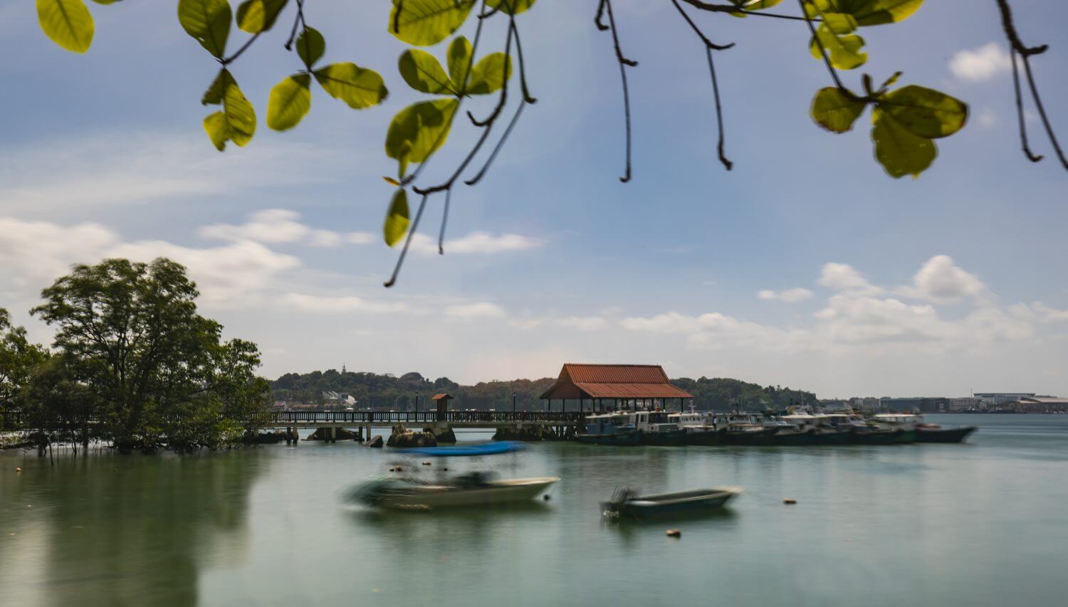 Macrophotography at Pulau Ubin island reserve northeast of Singapore
